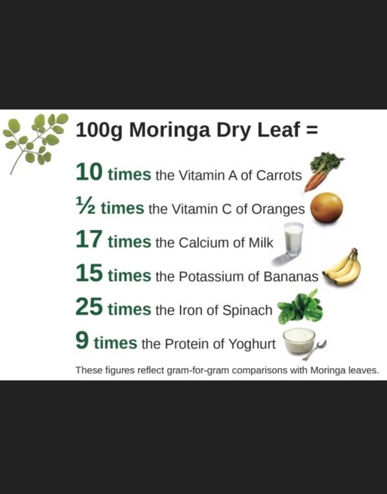 Moringa Seeds - Etsy