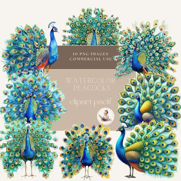 Peacock Clip Art - Etsy