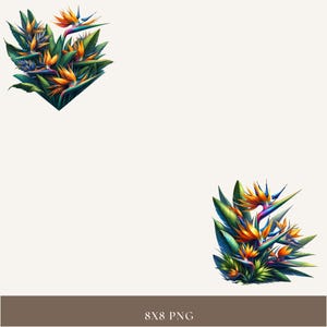 Floral Clipart, Bird of Paradise Flower, Tropical Flowers, Watercolor ...