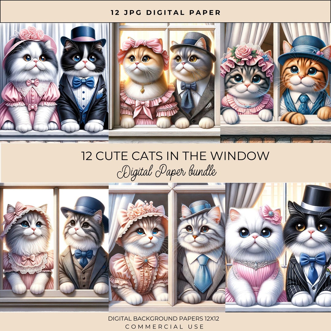 Cute Cat Digital Papers, Cute Cats Looking Out of Window, Kitten ...