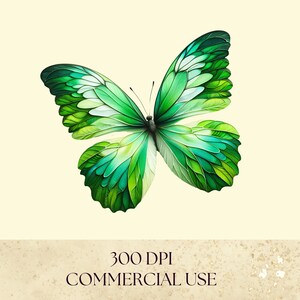 Butterflies Clipart, Butterflies Clip Art, Spring Clipart, Botanical ...