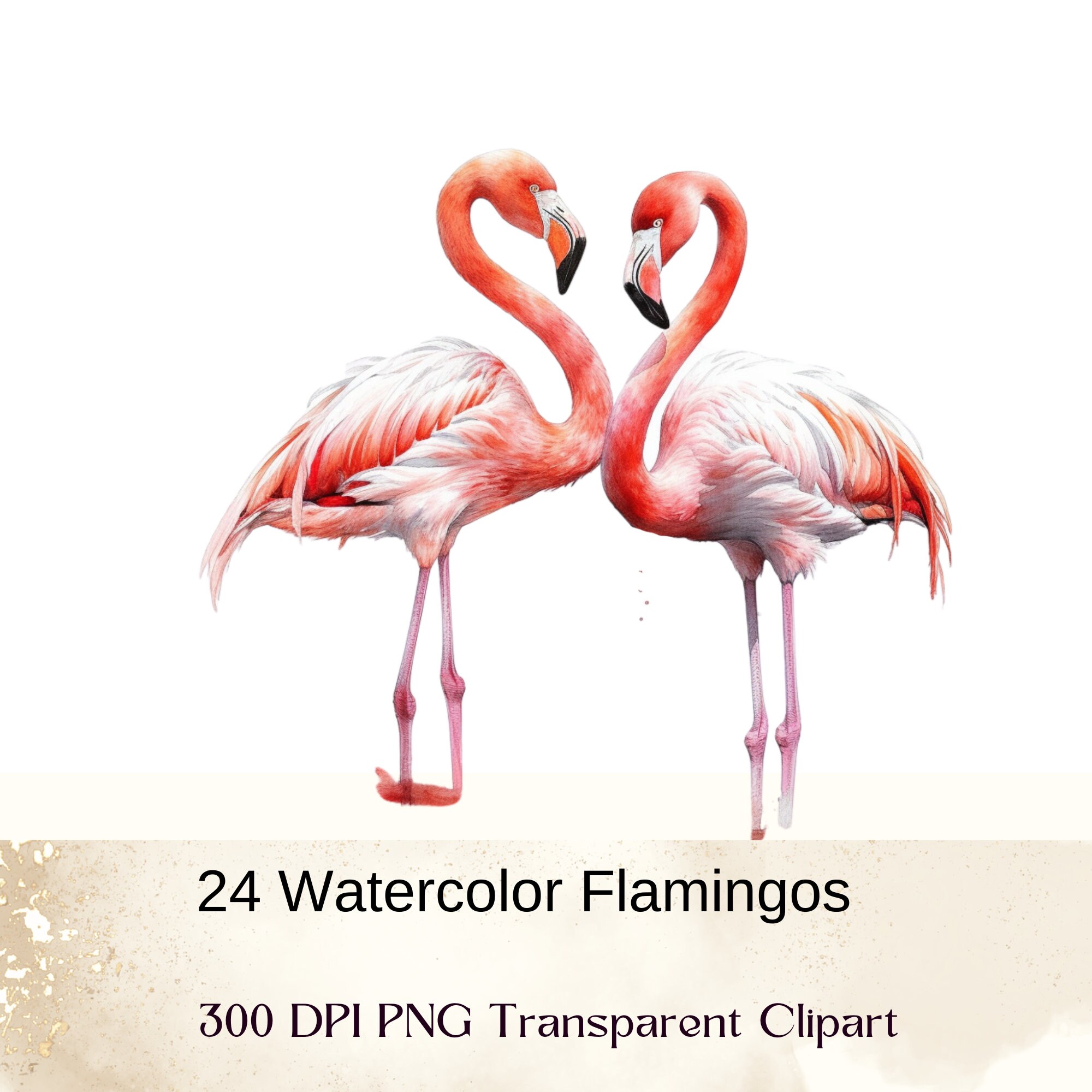 Watercolor Flamingo Clipart, Summer Clipart, Png Cute Tropical Clip Art ...