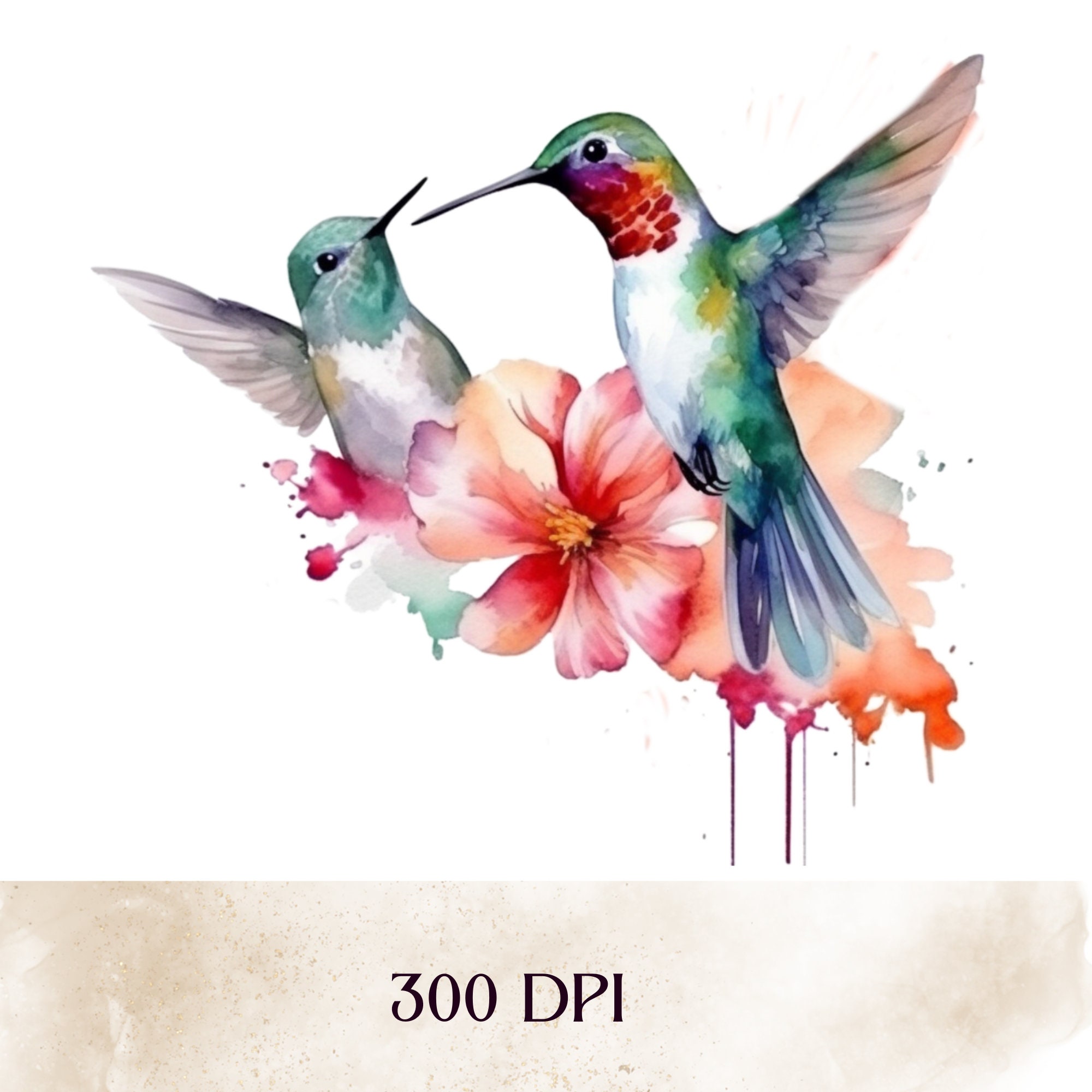 Cute Hummingbird Watercolor Clipart, Nursery Decor, Cute Bird Animal ...