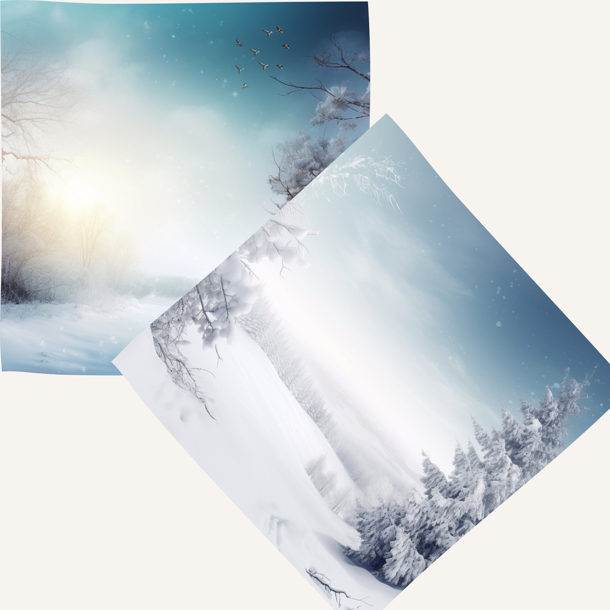 Winter Wonderland Digital Papers, Winter Wonderland Ephemera, Frost ...