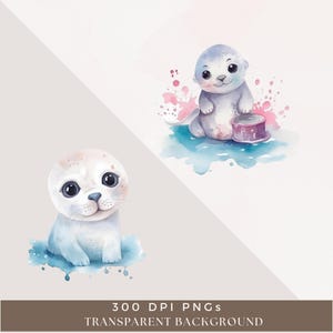 Watercolor Baby Seal Clipart, Cute Animal Clipart Bundle, Ocean Animal ...