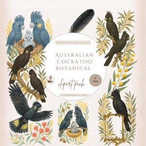 Australian Botanical and Birds Clipart - Etsy