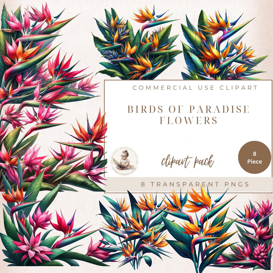 Floral Clipart, Bird of Paradise Flower, Tropical Flowers, Watercolor ...