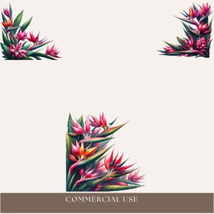 Floral Clipart, Bird of Paradise Flower, Tropical Flowers, Watercolor ...