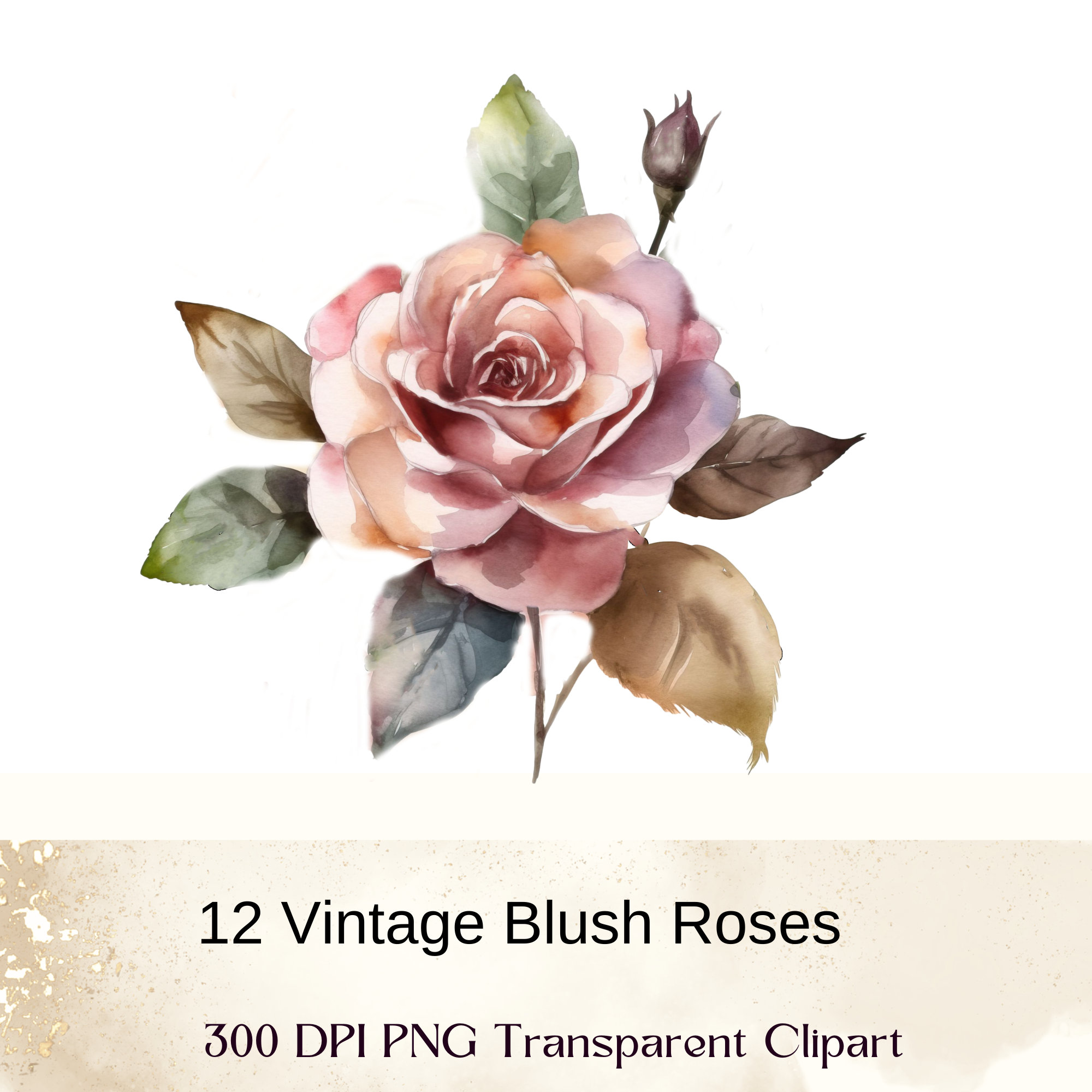 Vintage Rose Clipart, Flower Clipart, Commercial Use, Wedding Clipart, Card Making, Pink Rose ...