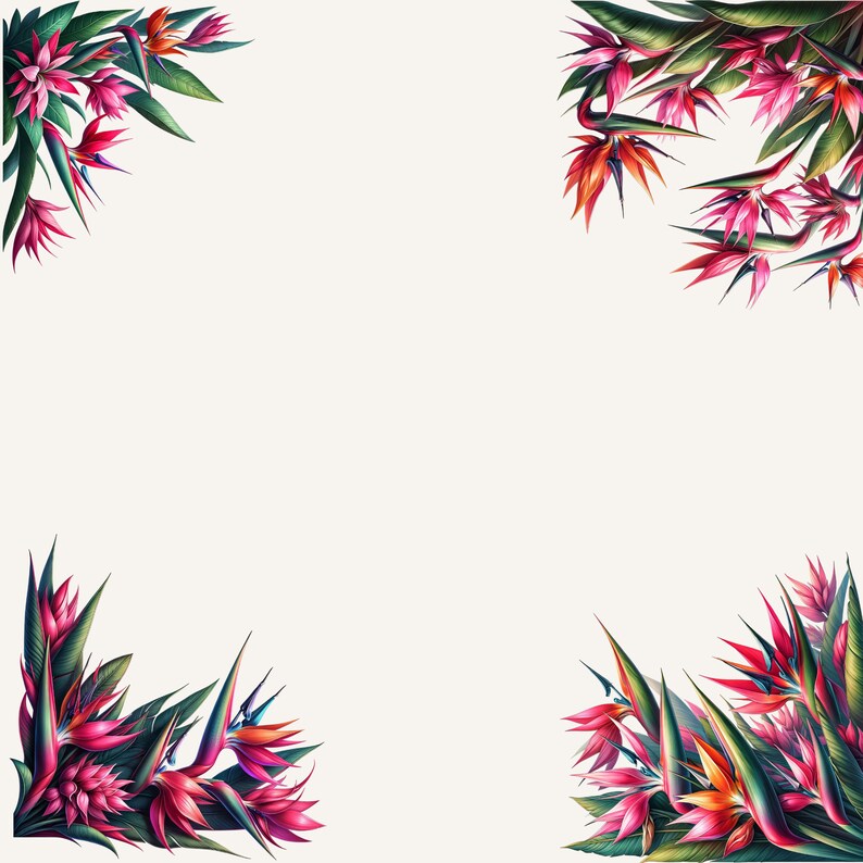 Floral Clipart, Bird of Paradise Flower, Tropical Flowers, Watercolor ...