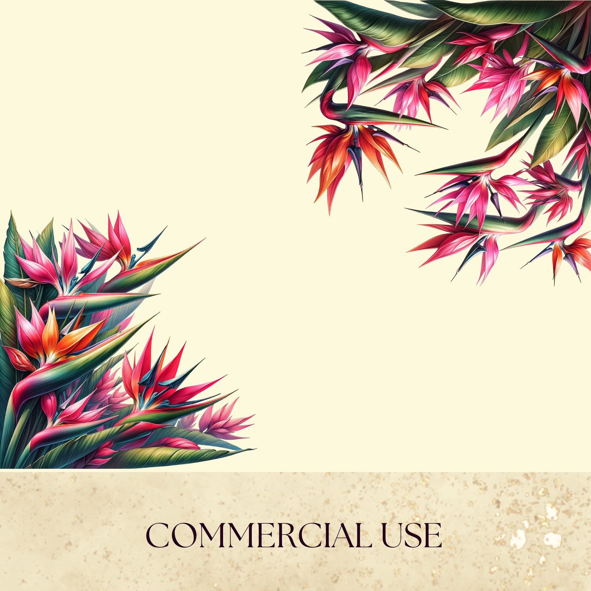 Floral Clipart, Bird of Paradise Flower, Tropical Flowers, Watercolor ...