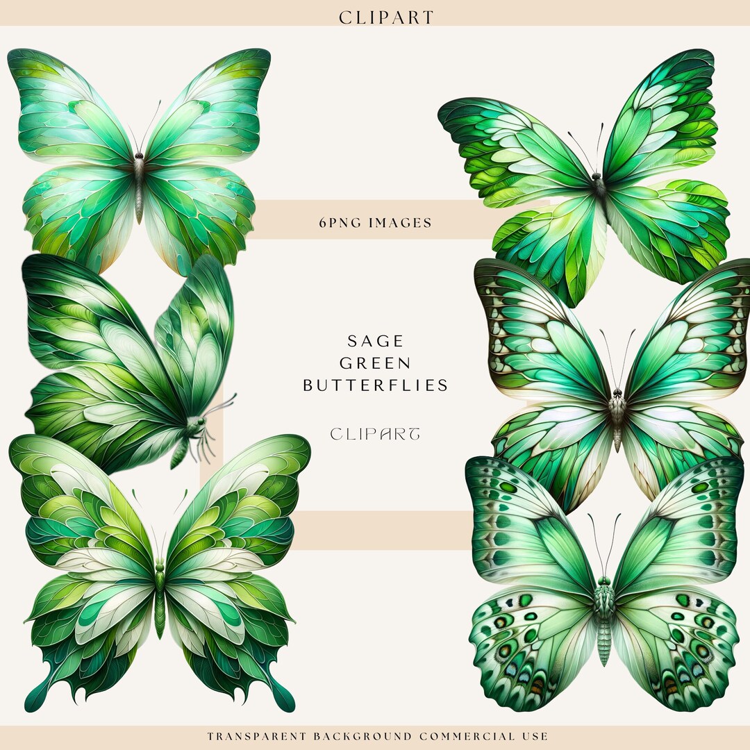 Butterflies Clipart, Butterflies Clip Art, Spring Clipart, Botanical ...