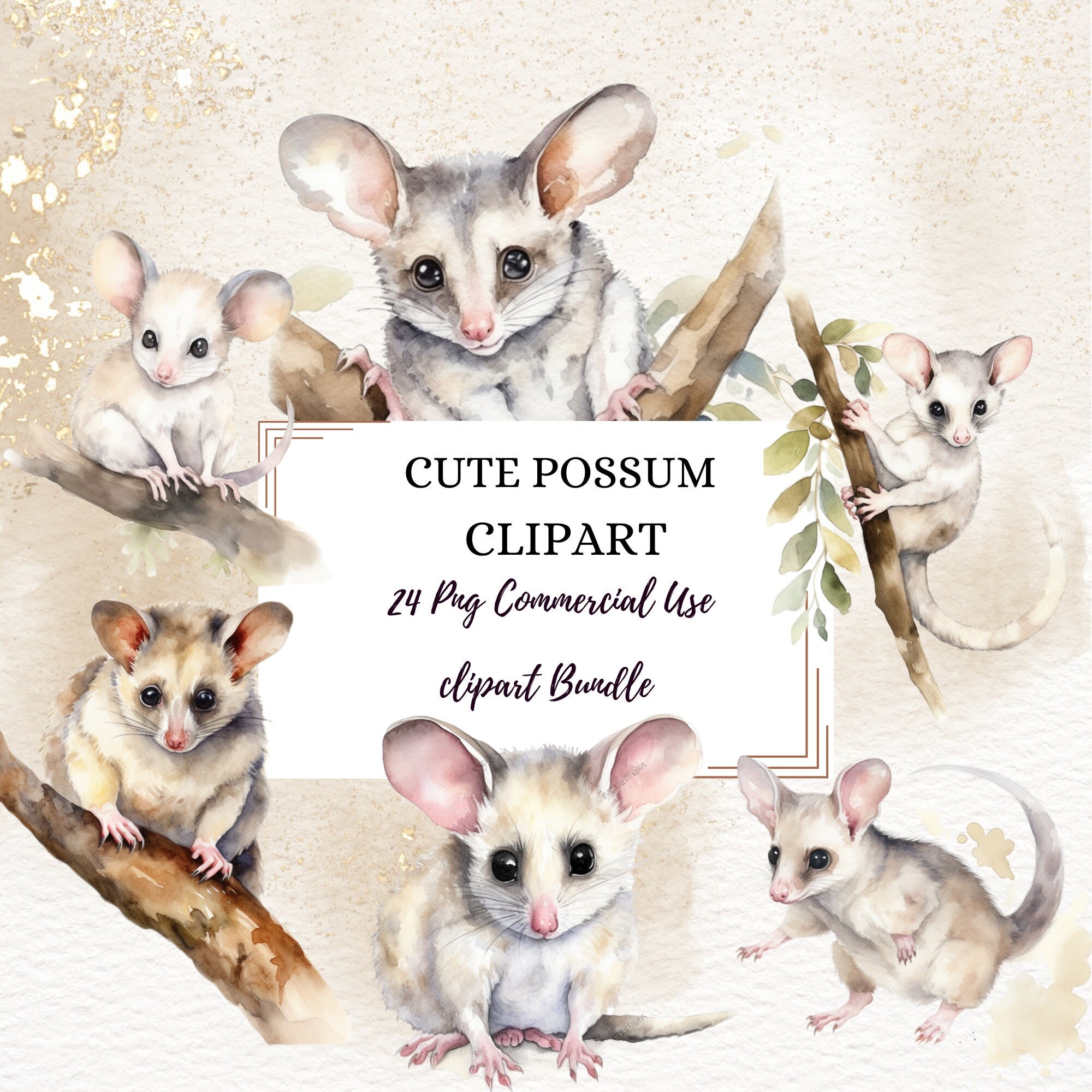 Possums Clipart House