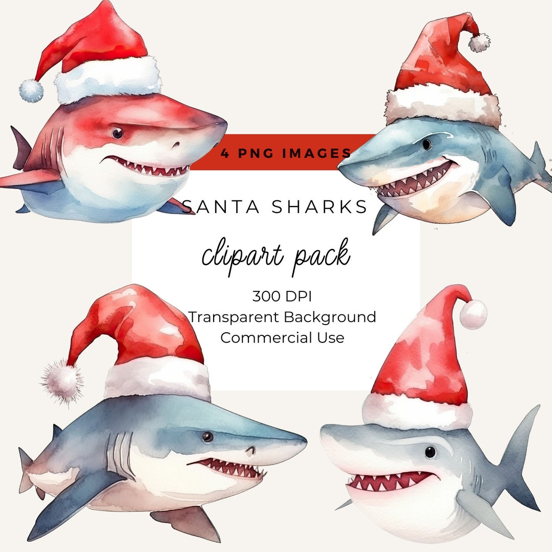 Shark Clipart Watercolor Shark Shark Illustration Sharks - Etsy