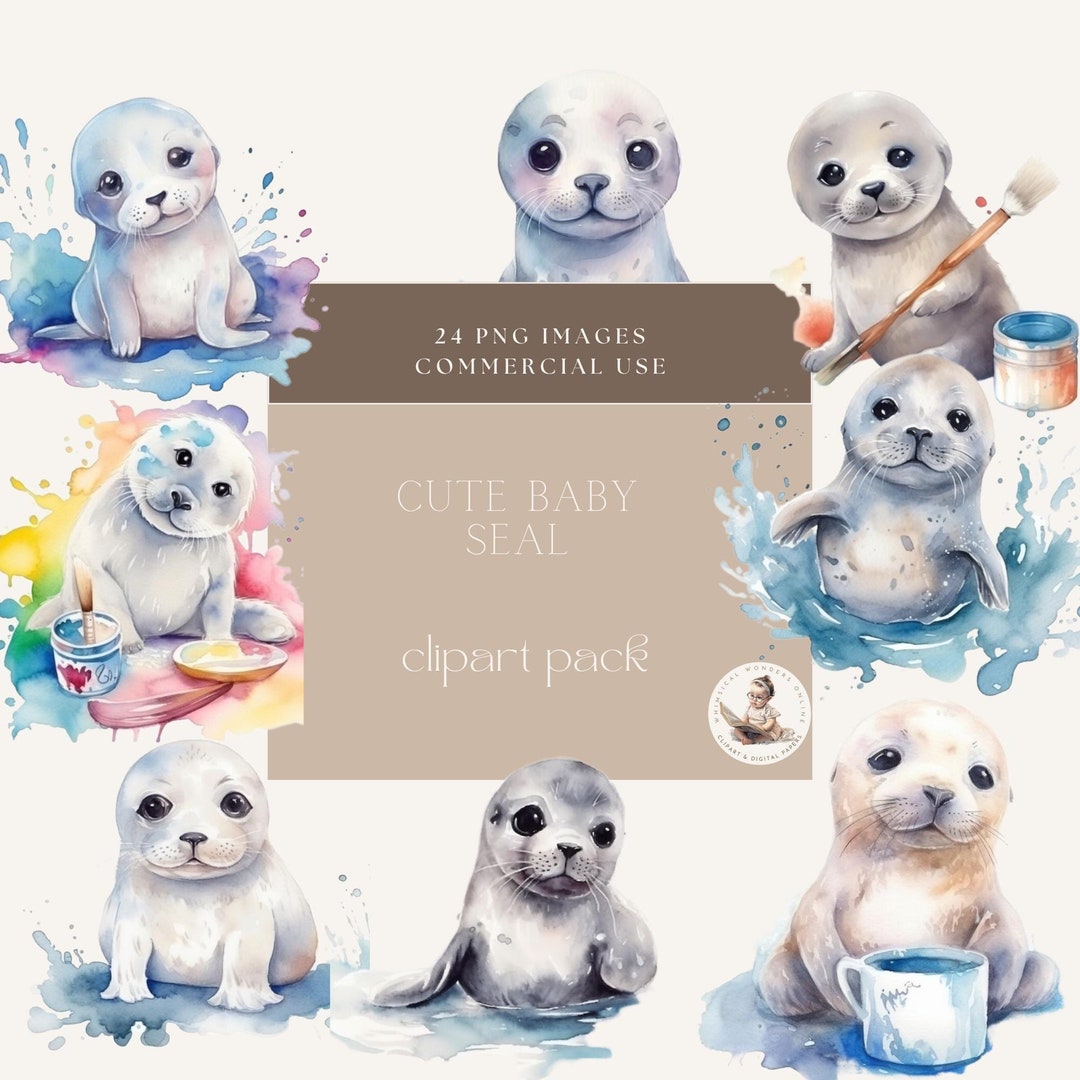 Watercolor Baby Seal Clipart, Cute Animal Clipart Bundle, Ocean Animal ...