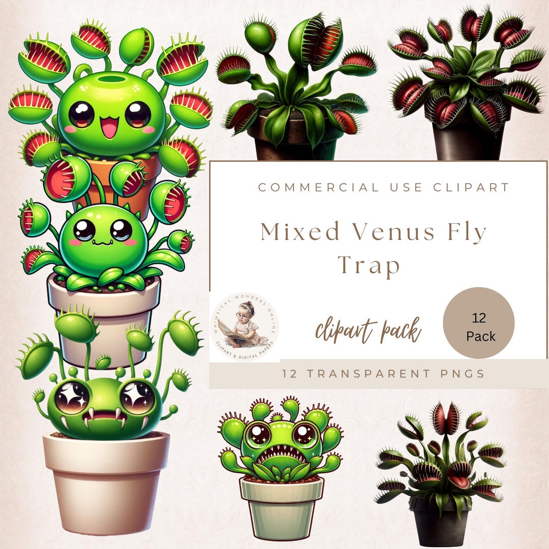 Flytrap Clipart, Venus Fly Trap Clipart, Venus Flytrap Plant, Venus Flytrap Png, Venus Fly Trap ...