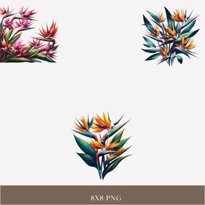 Floral Clipart, Bird of Paradise Flower, Tropical Flowers, Watercolor ...