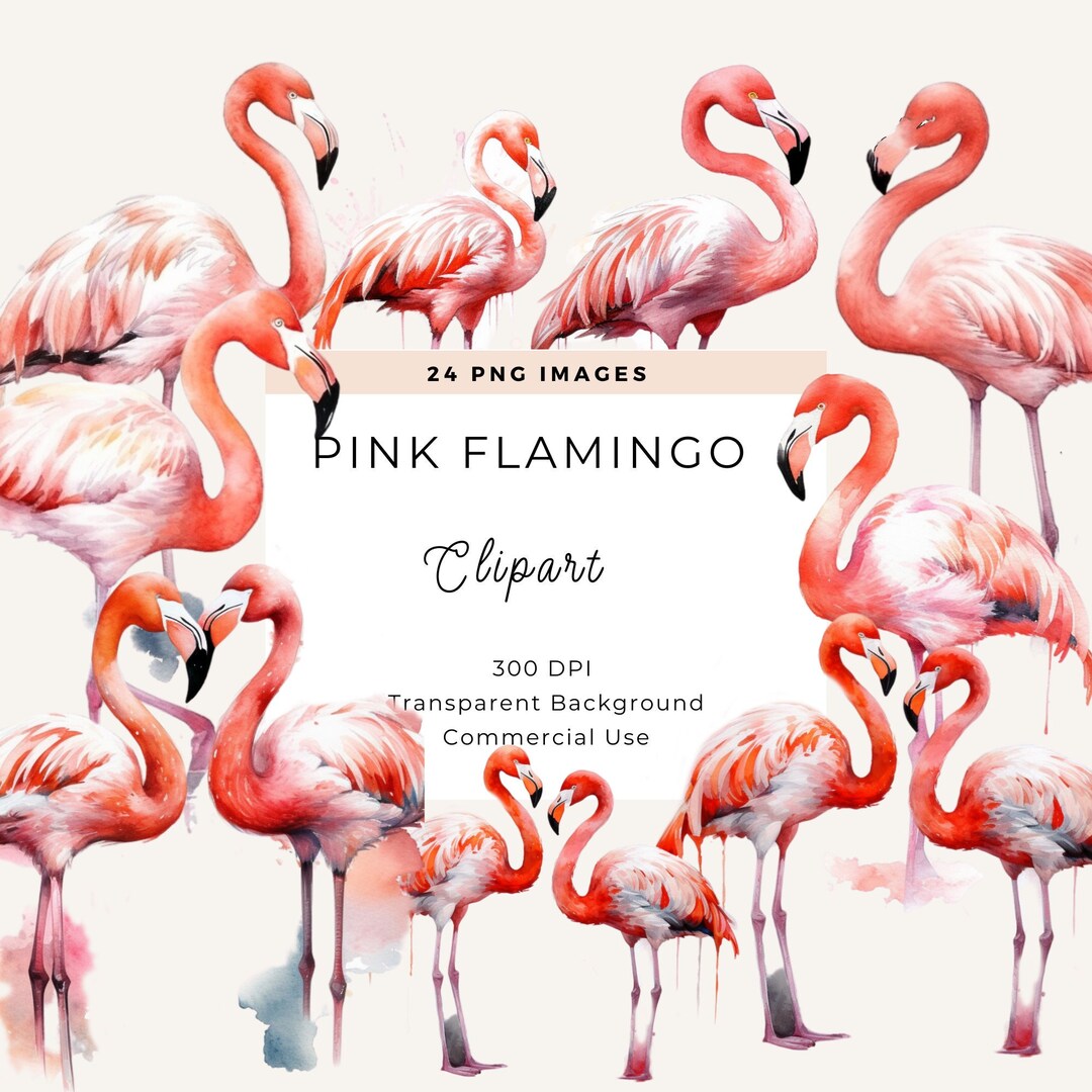 Watercolor Flamingo Clipart, Summer Clipart, Png Cute Tropical Clip Art ...