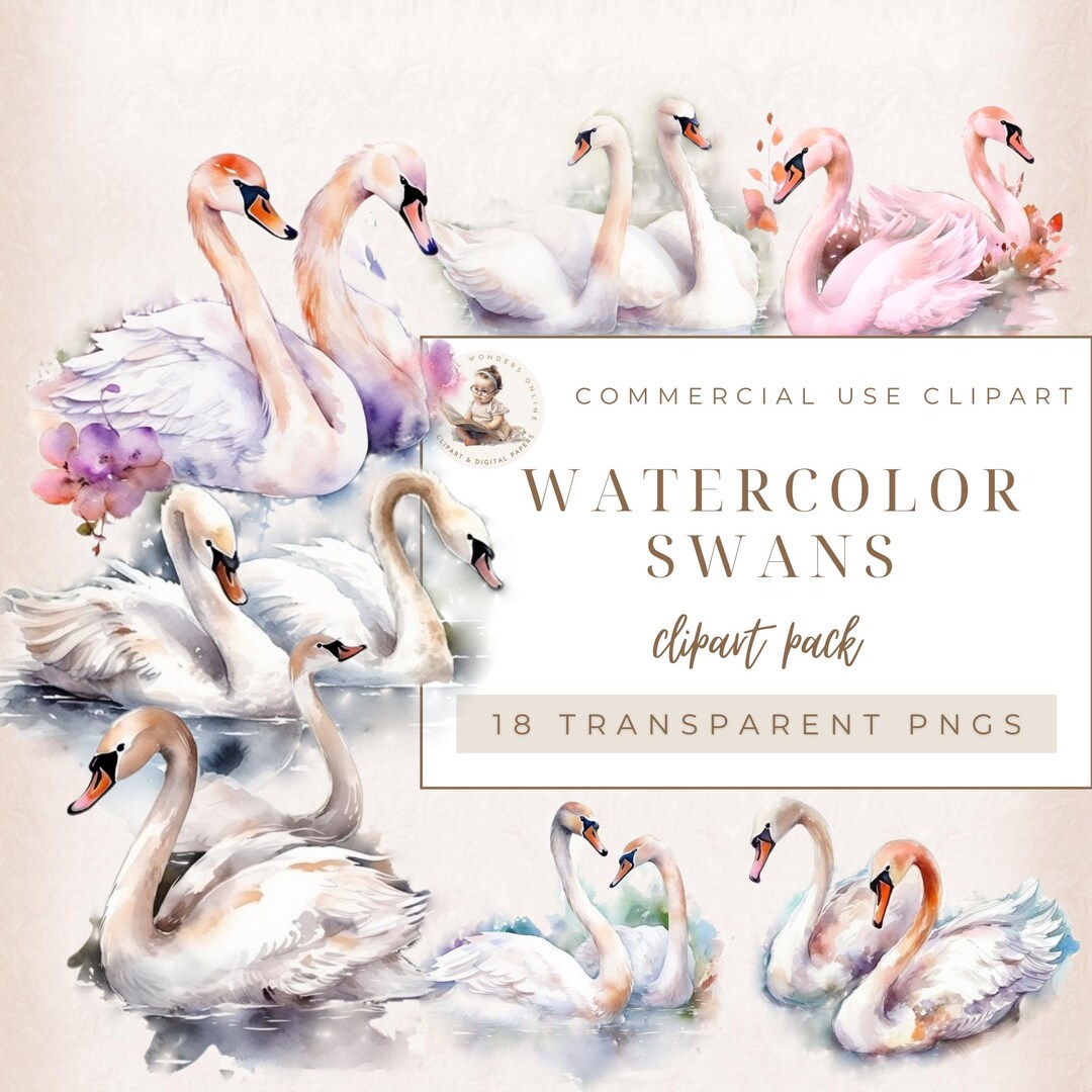 Watercolor Swans Clipart, Swans Png, Digital Download, Baby Shower ...