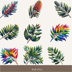Australian Native Flowers, Australian Florals, Desert Flowers ...