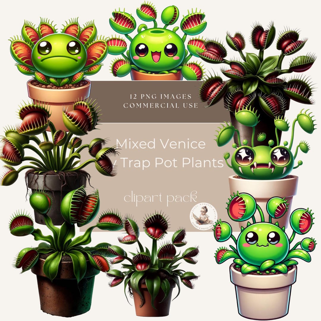 Flytrap Clipart, Venus Fly Trap Clipart, Venus Flytrap Plant, Venus ...