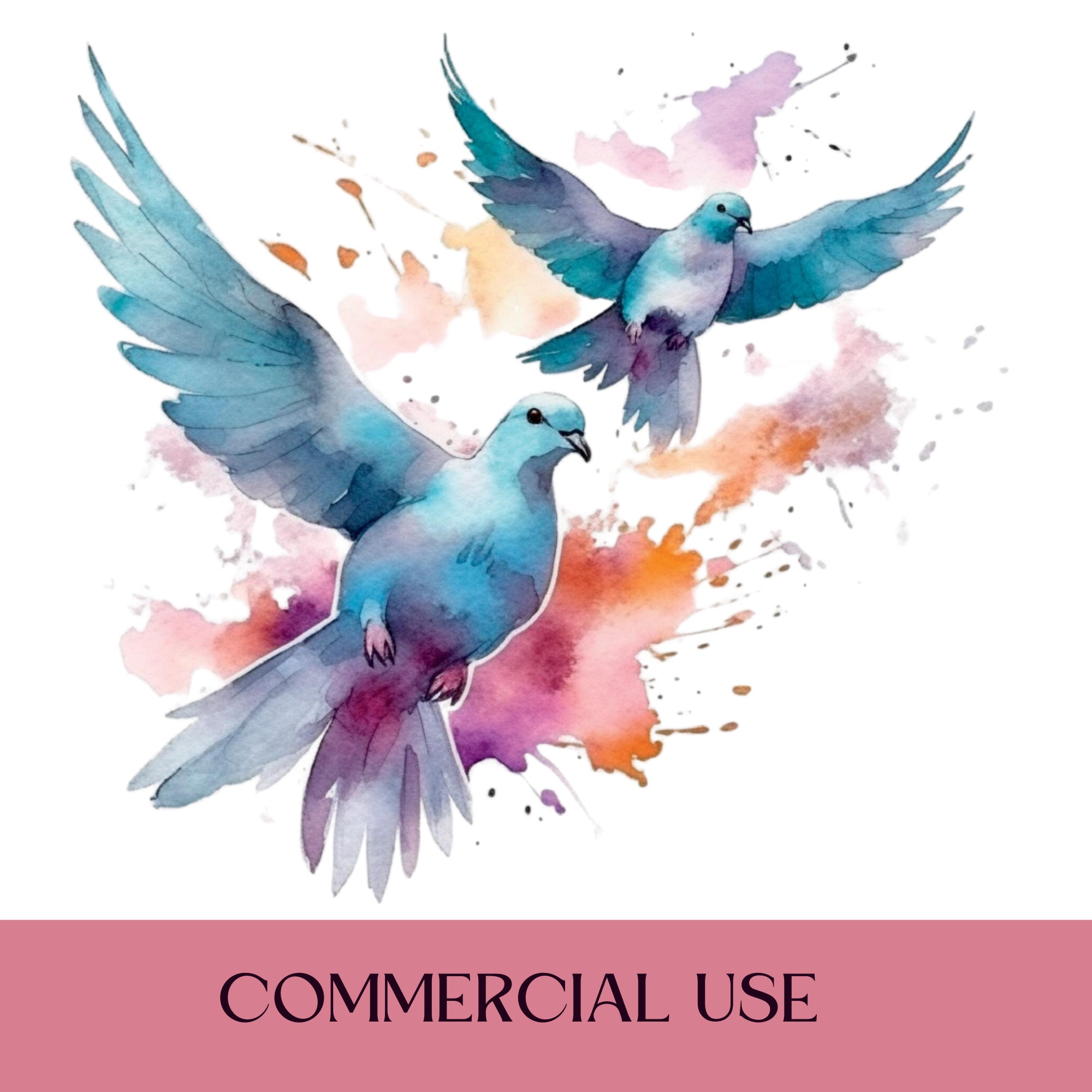 White Dove Flying Clip Art 12 Watercolor Doves Digital - Etsy