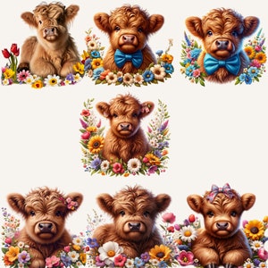 Cute Baby Highlander Cow Clipart, Baby Shower, Gender Reveal, Baby ...