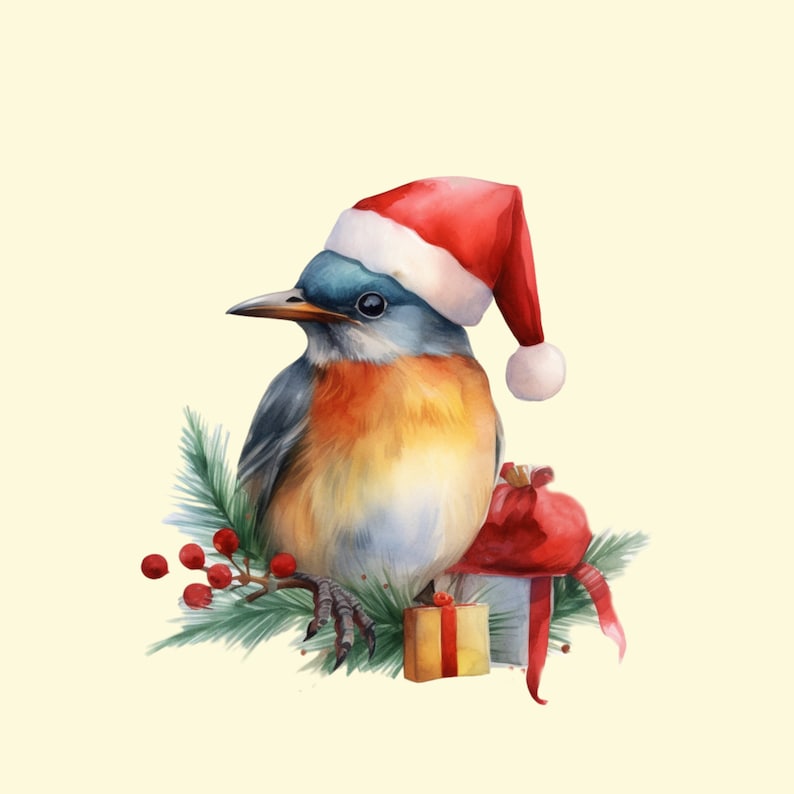 Christmas Bird Clipart, Bird Clipart, Digital Download, Commercial Use ...