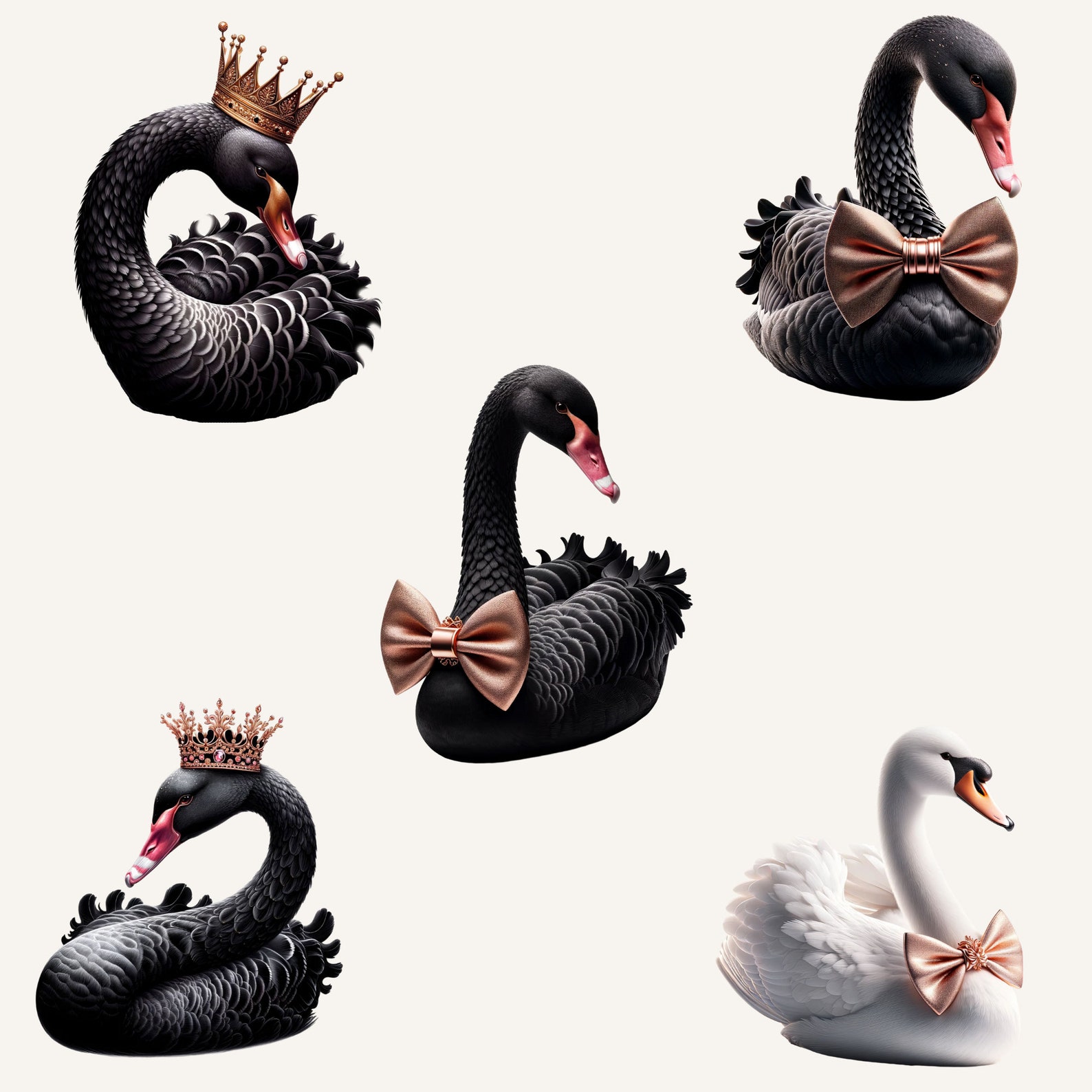 Swan Clipart, Black Swan Clipart, Fairytale Clipart, Royal Swans, Swans ...