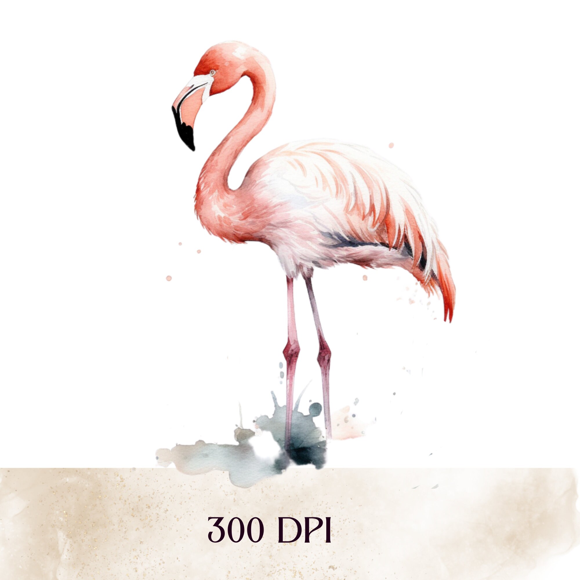 Watercolor Flamingo Clipart, Summer Clipart, Png Cute Tropical Clip Art ...