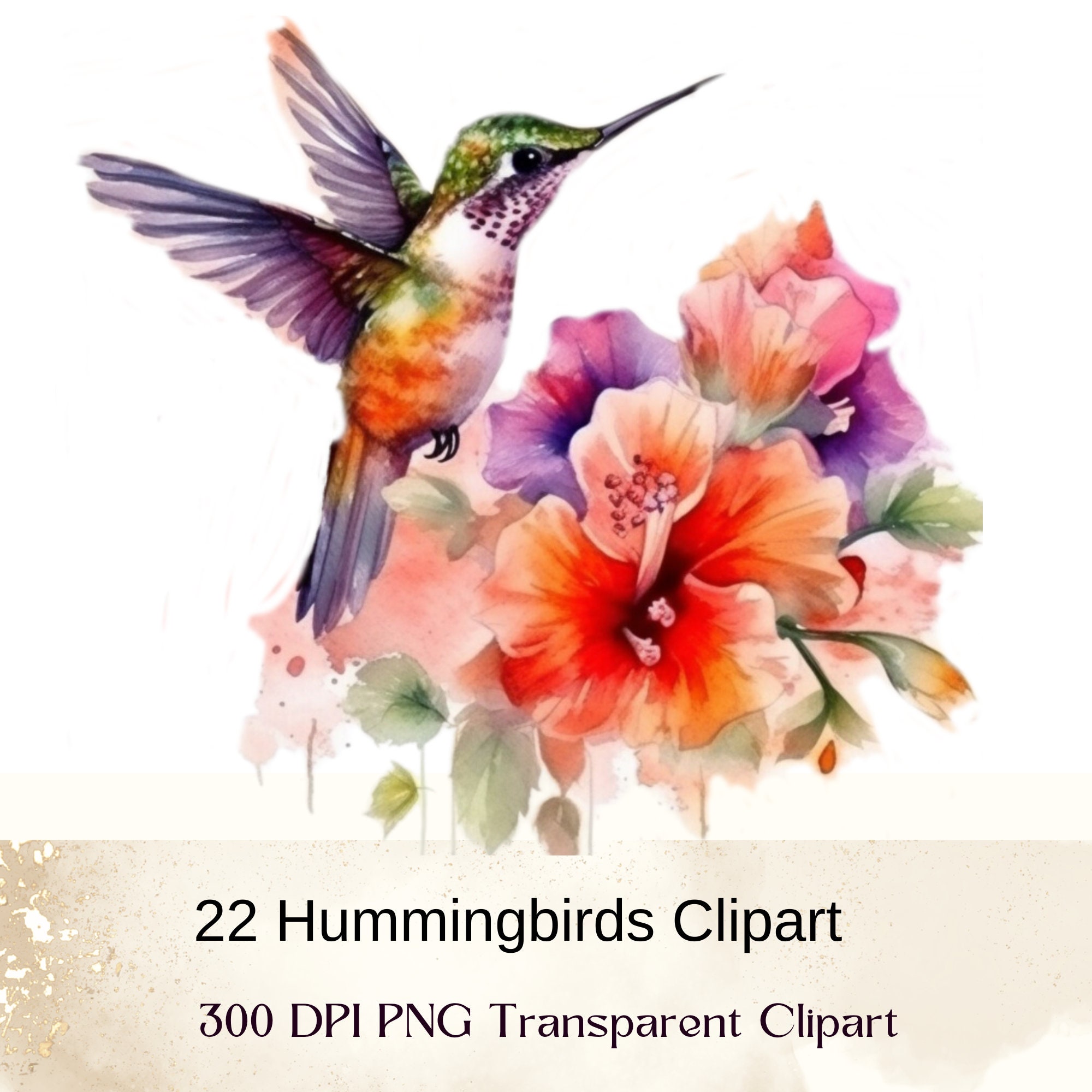 Cute Hummingbird Watercolor Clipart, Nursery Decor, Cute Bird Animal ...