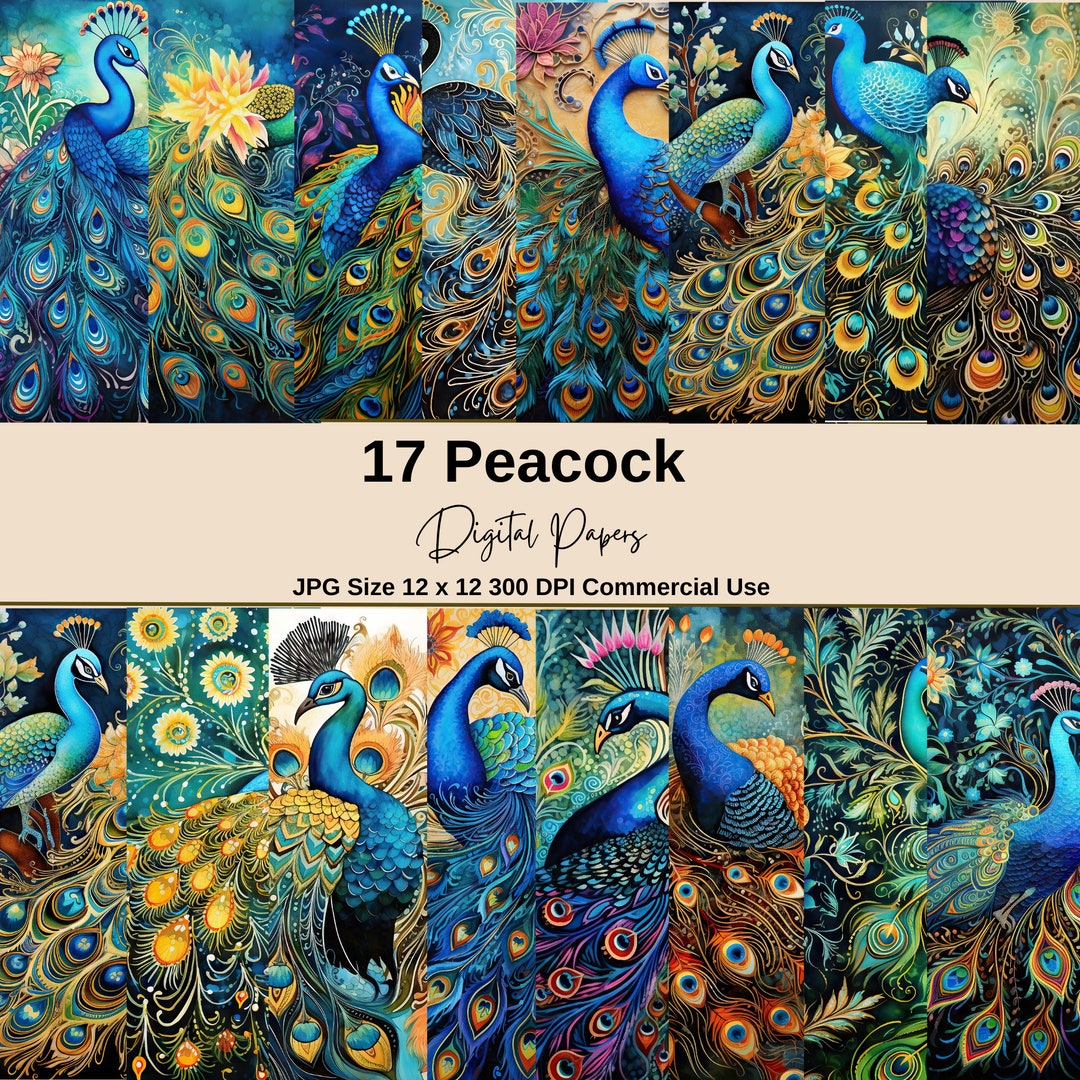 Peacock Digital Papers, Peacock Backgrounds, Peacock Feathers ...