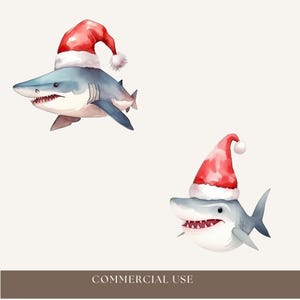 Shark Clipart, Watercolor Shark, Shark Illustration, Sharks Clip Art ...
