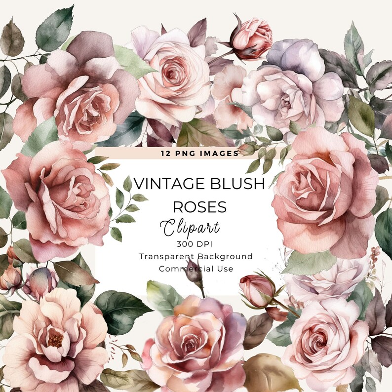 Vintage Rose Clipart, Flower Clipart, Commercial Use, Wedding Clipart, Card Making, Pink Rose ...