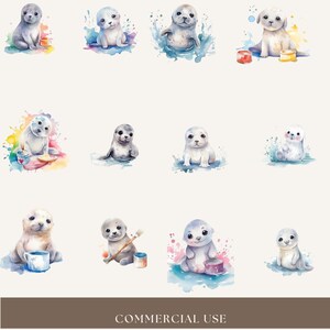 Watercolor Baby Seal Clipart, Cute Animal Clipart Bundle, Ocean Animal ...