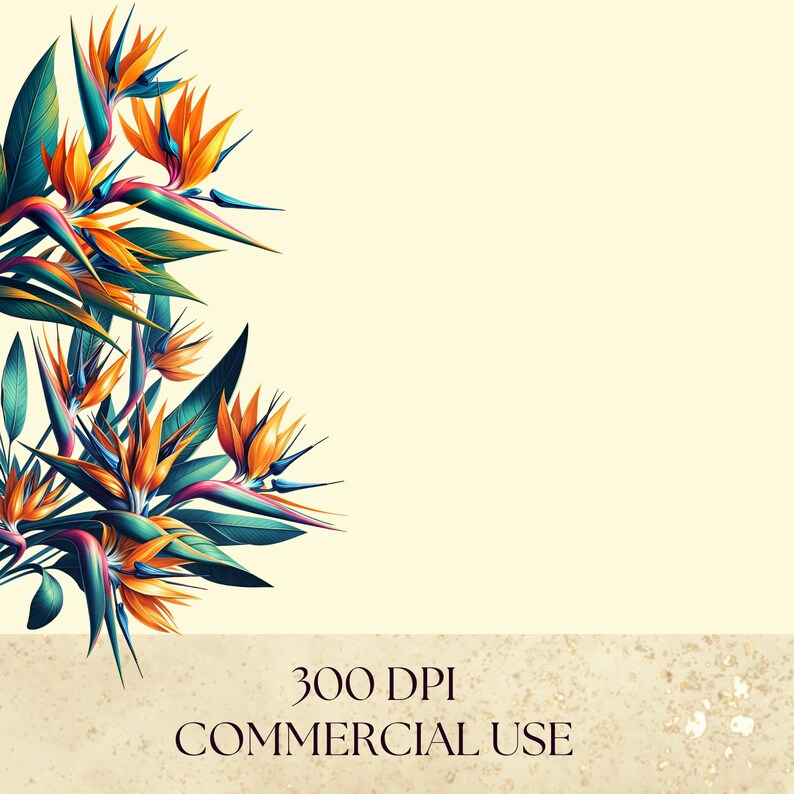 Floral Clipart, Bird of Paradise Flower, Tropical Flowers, Watercolor ...