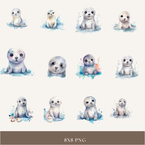 Watercolor Baby Seal Clipart, Cute Animal Clipart Bundle, Ocean Animal ...