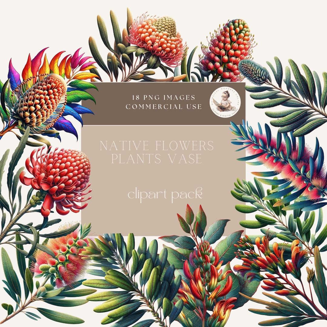 Australian Native Flowers, Australian Florals, Desert Flowers ...