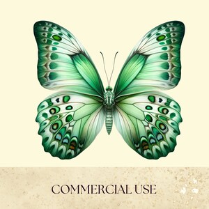 Butterflies Clipart, Butterflies Clip Art, Spring Clipart, Botanical ...