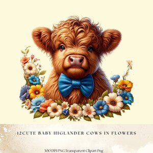 Cute Baby Highlander Cow Clipart, Baby Shower, Gender Reveal, Baby ...