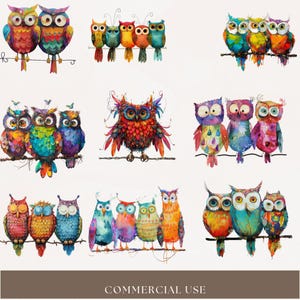 Quirky Owl Clip Art, Owls on A Rope, Funny Birds, Pets Clipart ...