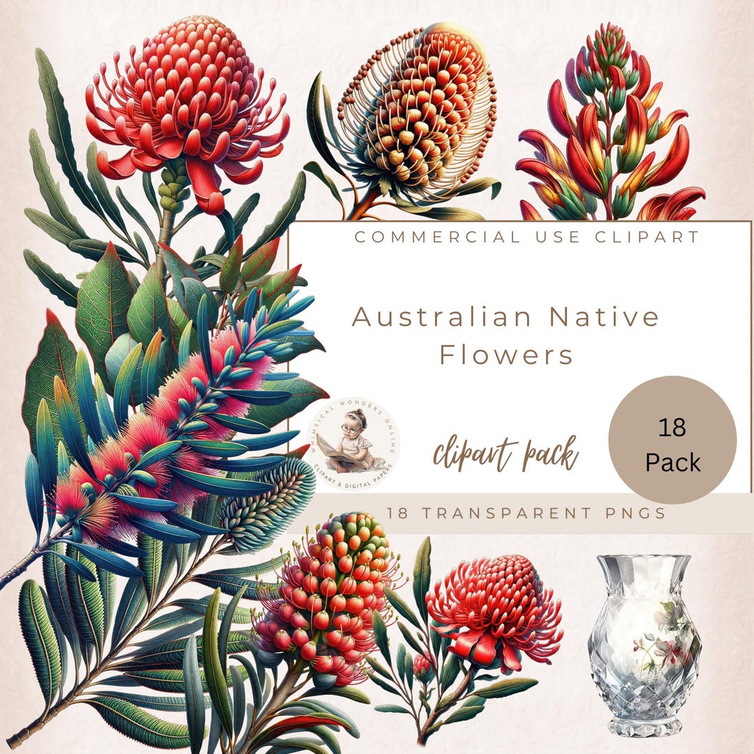 Australian Native Flowers, Australian Florals, Desert Flowers ...