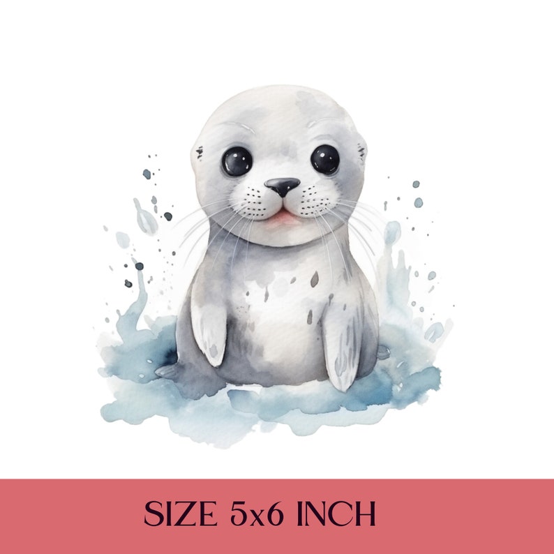 Watercolor Baby Seal Clipart Cute Animal Clipart Bundle - Etsy