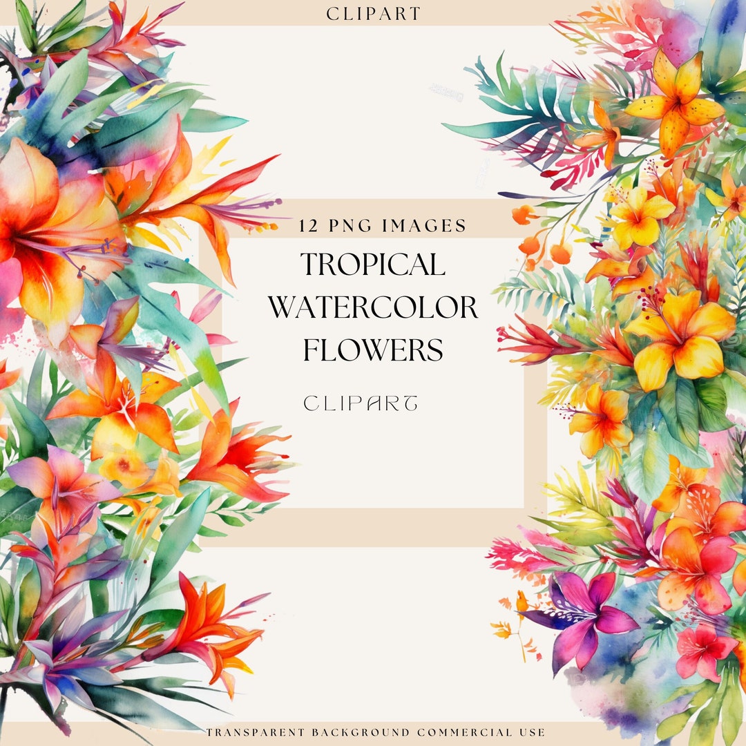 Tropical Watercolor Floral Clipart, Summer Clipart, Tropical Flowers ...