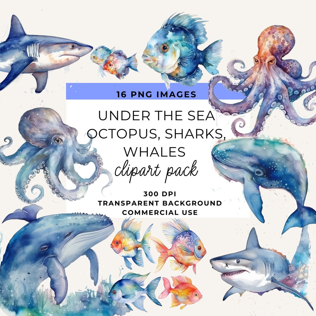 Underwater Clipart Watercolor Shark Whale Fish Octopus - Etsy