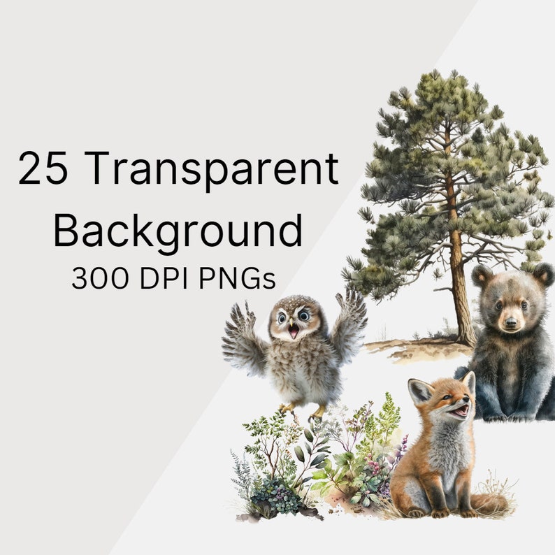 Baby Forest Animals Clipart Watercolor, Woodland Animal Clipart for ...