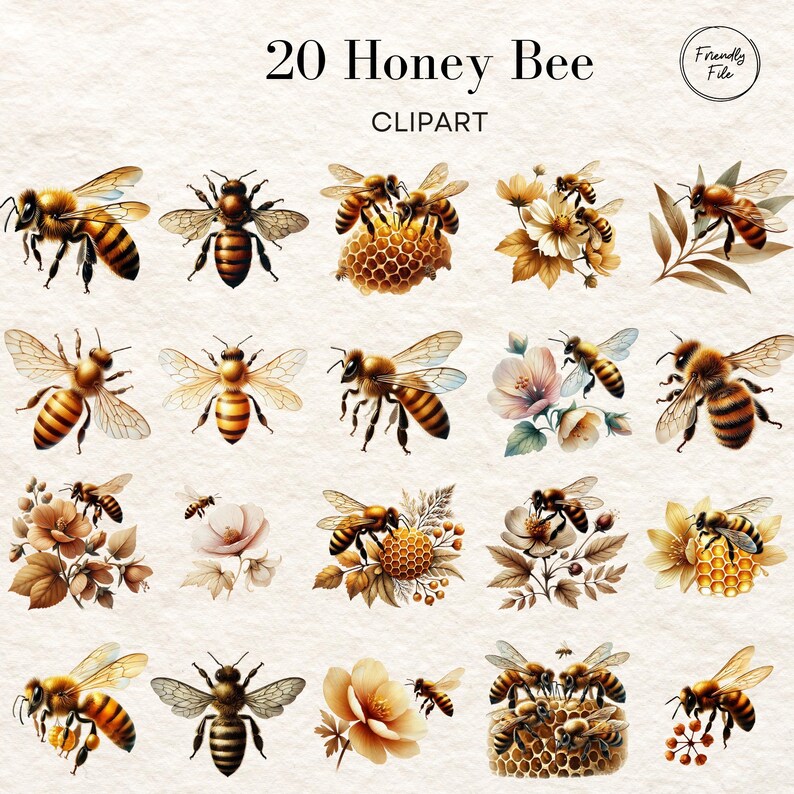 Honey Bee Clipart, Watercolor Bumblebee PNG, Floral Bee Illustration ...