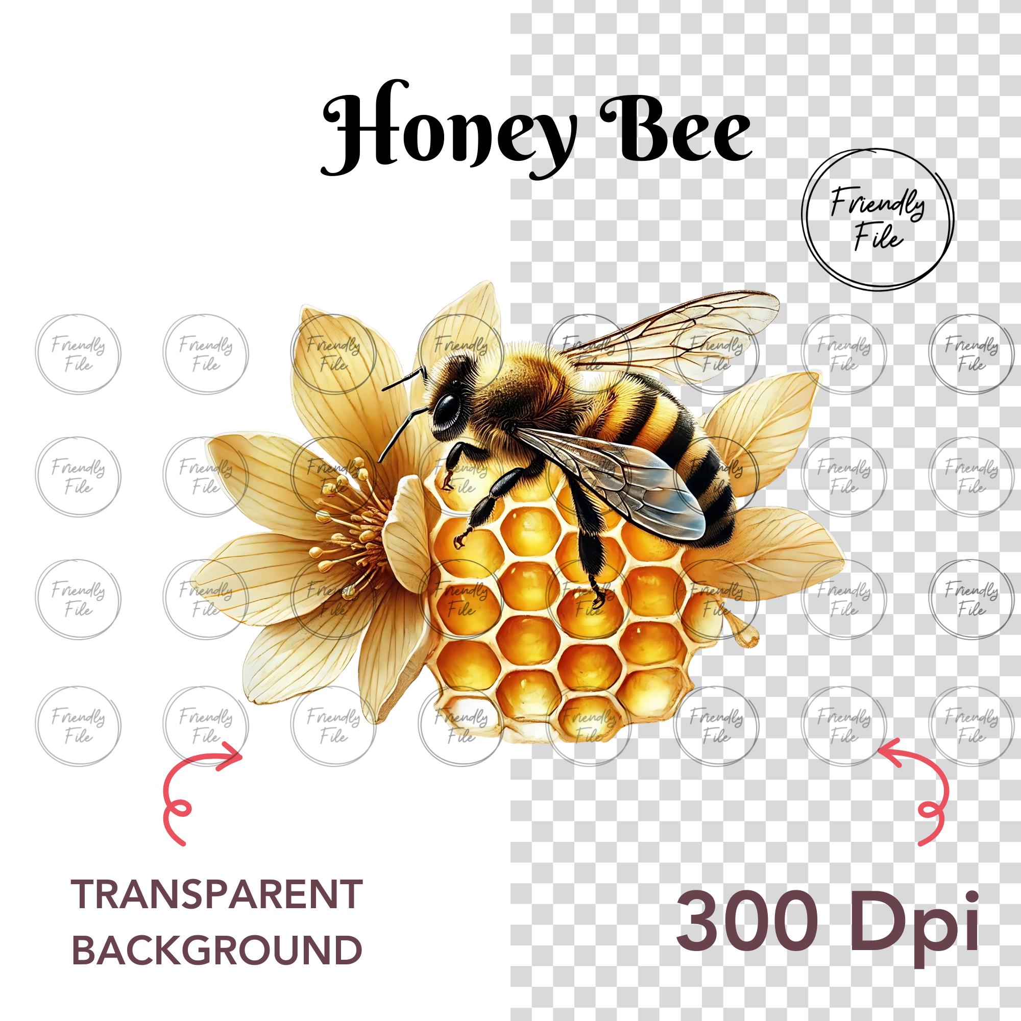 Honey Bee Clipart, Watercolor Bumblebee PNG, Floral Bee Illustration ...