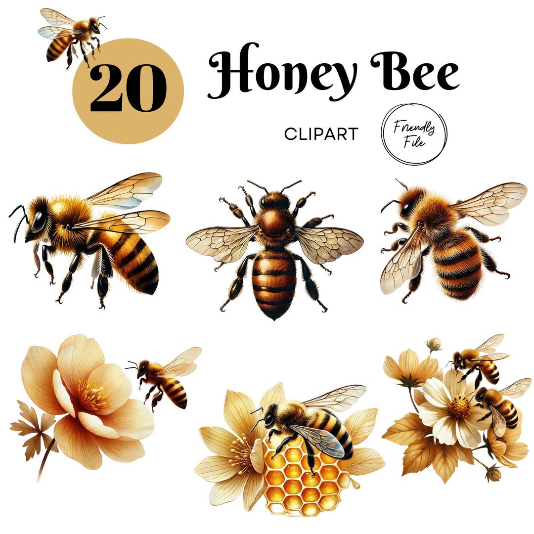 Honey Bee Clipart, Watercolor Bumblebee PNG, Floral Bee Illustration ...