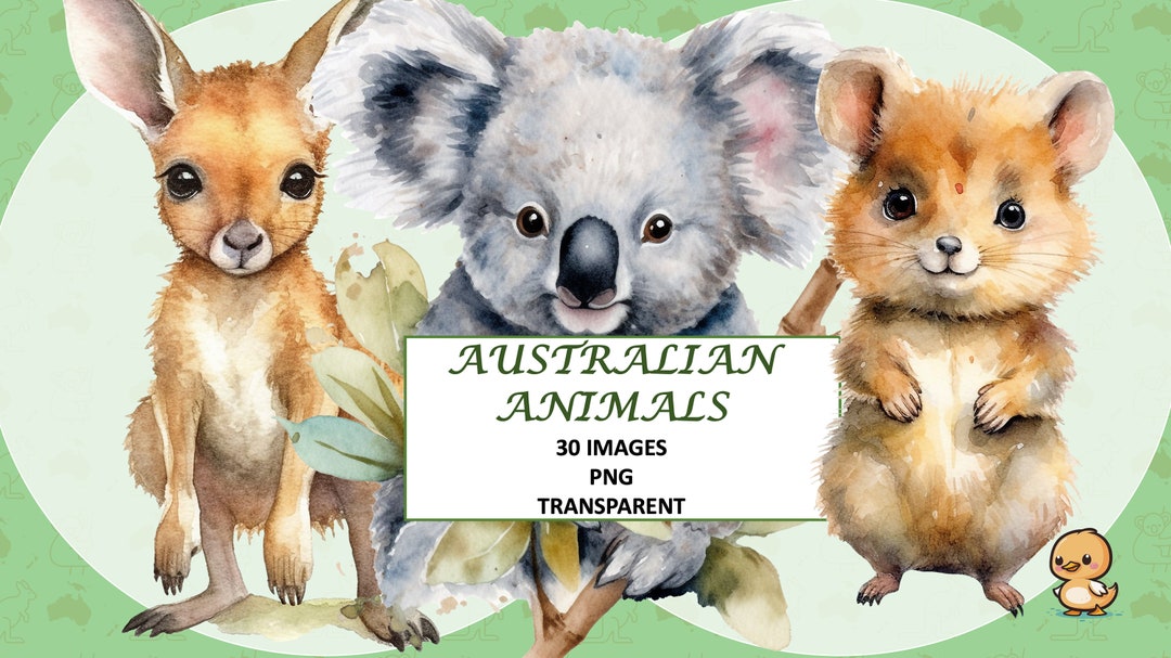 30 Watercolor Australian Animals | Cute Animals, Australian Wildlife ...